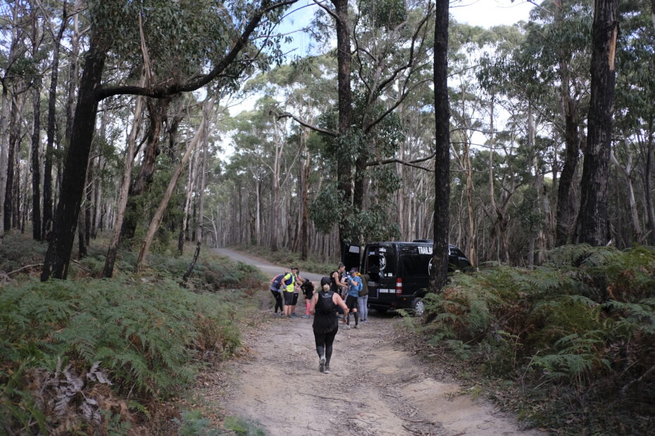 The Bus – Trail Running Tours
