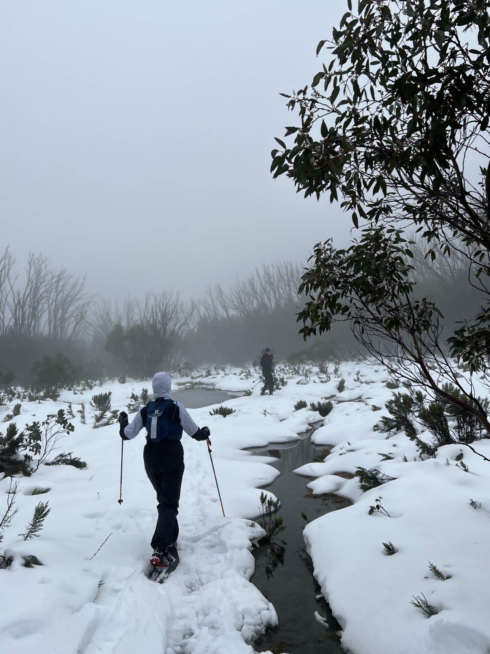 Saturday 24/8/24 Achilles Lake Mountain Snow Adventure (PAYMENT ...